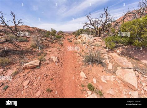 Hiking The Syncline Loop Trail In Island In The Sky District Of