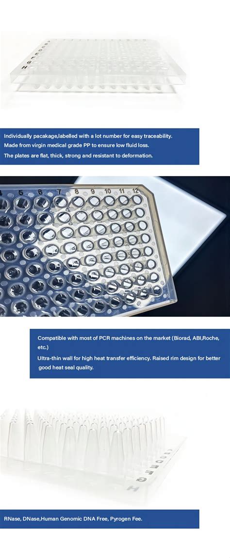 Pcr Plate 0 2ml Semi Skirted Clear Color Pcr Plate Template