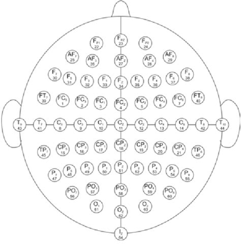 Figure From A Stacked Autoencoders Approach For A P Speller Bci