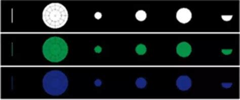 Physical Examination Integrated Diagnostic System