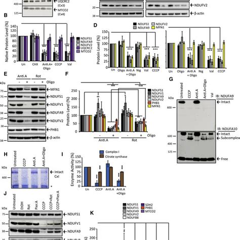 Anthony Schapira Head Of Department Of Clinical Neurosciences Md Dsc Frcp Fmedsci