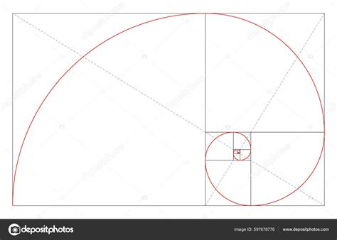Accurate Correct Fibonacci Golden Ratio Spiral Stock Vector Image By