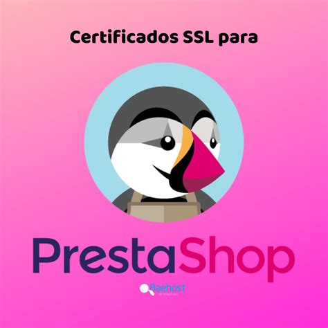 Cómo configurar SSL en Prestashop BAEHOST Nuestro Blog