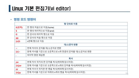 vi 편집기 쉘 명령어 웹서버 보안 교육 33일차