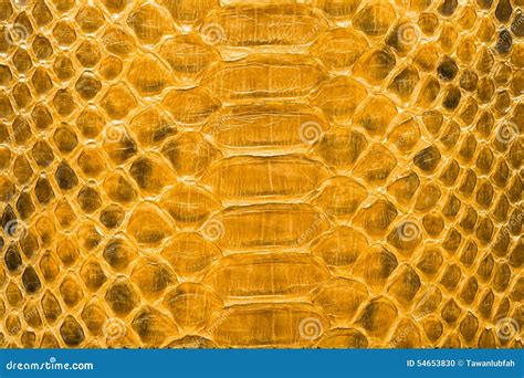 Yellow Python Leather Skin Texture For Background Royalty Free Stock