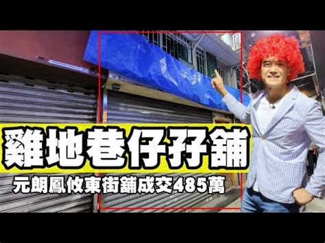 雞地巷仔孖舖第3795成交註冊成交485萬感覺5分元朗鳳攸東街9號好順意大廈 商場 地下50 51號舖 YouTube