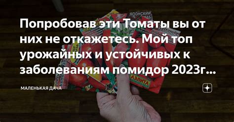 Попробовав эти Томаты вы от них не откажетесь Мой топ урожайных и устойчивых к заболеваниям