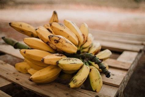 7 Manfaat Pisang Rebus Untuk Kesehatan Yang Jarang Diketahui