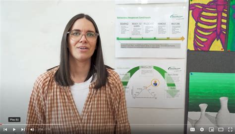 School Wide Positive Behaviour Support Westernportsc Vic Edu Au