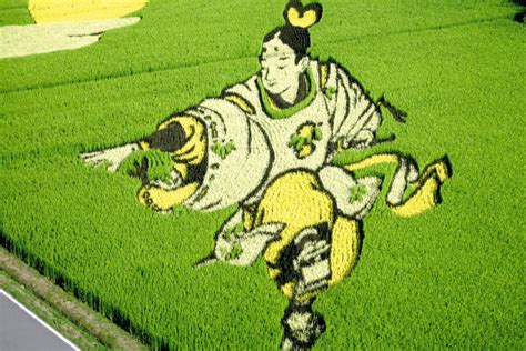 Rice Paddy Art What Makes It So Special Sakuraco