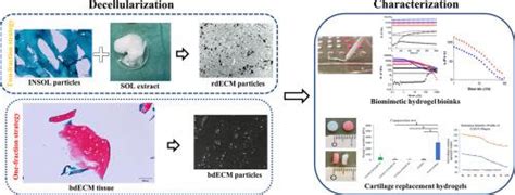 用于软骨修复应用的脱细胞细胞外基质颗粒生物材料journal Of Materials Science And Technology X Mol