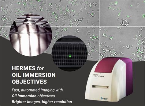 Microscopes Fast Automated Imaging With Oil Immersion