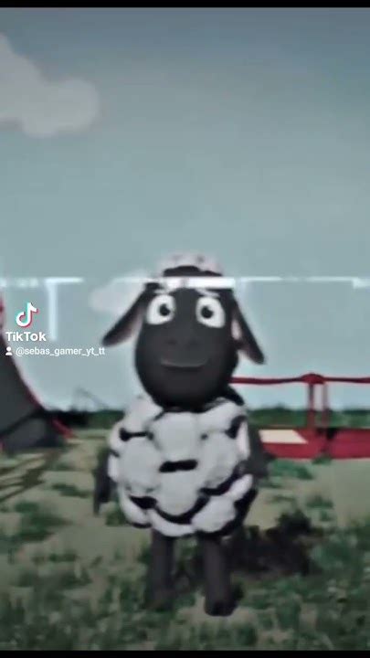 Amandatheadventurer Wooly Youtube