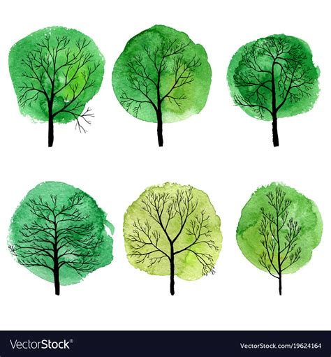 Set Of Deciduous Trees Royalty Free Vector Image
