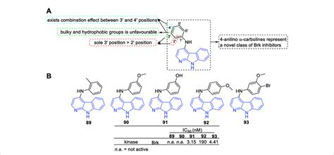 A Sars Of 4 Anilino α Carbolines As Brk Inhibitors B Structures Download Scientific