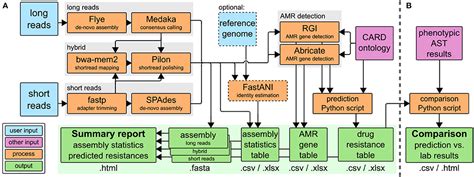 Frontiers Prediction Of Antibiotic Susceptibility Profiles Of Vibrio
