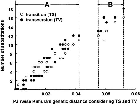 Relationship Between Pairwise Number Of Substitutions Transitions And Download Scientific
