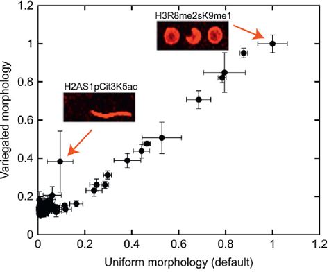 Figure 5 From Arrayninja An Open Source Platform For Unified Planning
