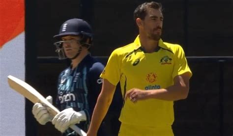 Mitchell Starc Castles Jason Roy With A Fiery Inswinger