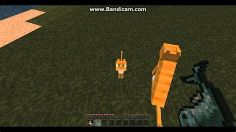 Minecraft How To Breed Catsocelots Youtube