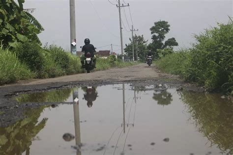 Jadi Kubangan Begini Kondisi Jalan Penghubung Antar Desa Di Sumobito Jombang Saat Hujan