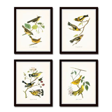 Audubon Bird Prints Set No 2 Botanical Prints Art Prints Etsy