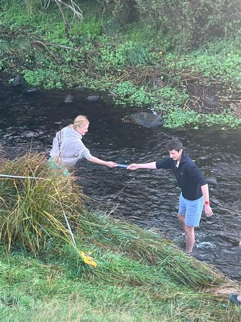 Year Stream Study South Otago High Babe