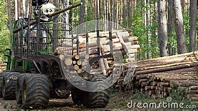 Loading Logs On A Truck Trailer Using A Tractor Loader With A Grab Crane Deforestation And