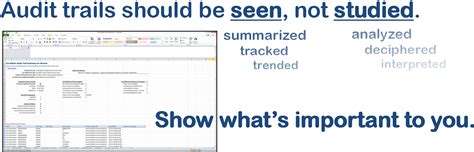 Excelsafe Audit Trail Report Ofni Systems