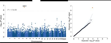 Manhattan And Qq Plot Results Are Shown For Genic Canonical