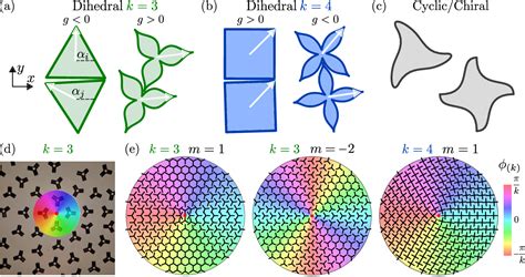 Figure From Anyonic Defect Braiding And Spontaneous Chiral Symmetry Breaking In Dihedral