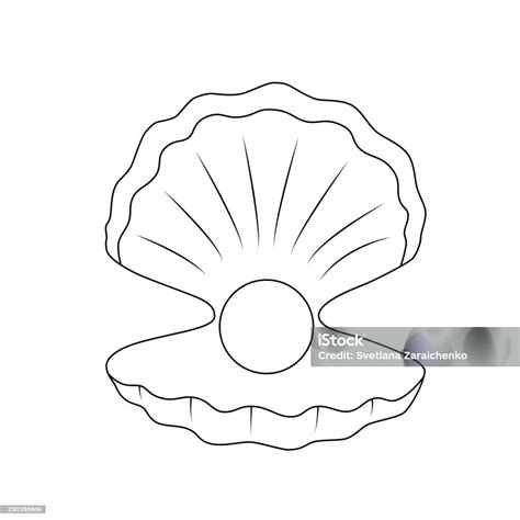 열린 껍질 또는 진주가 들어있는 굴의 흑백 실루엣 가리비의 흑백 윤곽선 그림 조개 껍질의 벡터 그림입니다 색칠 카드 인쇄 포장 초대장 광고 가리비에 대한 스톡 벡터 아트 및