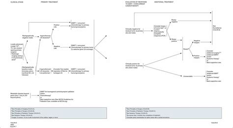Vulvar Cancer Version 1 2017 Nccn Clinical Practice Guidelines In Oncology In Journal Of The