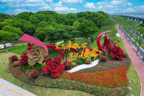 7处主题景点、8条市级景观花道、5万㎡花坛花境扮靓浦东！