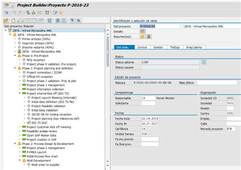 Wbs Not Appear On Cj20n Project Planing Sap Community