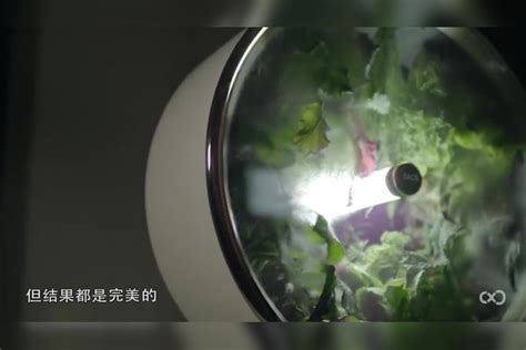 老外发明黑科技种菜神器，受nasa技术启发，无需土壤在家也能种菜