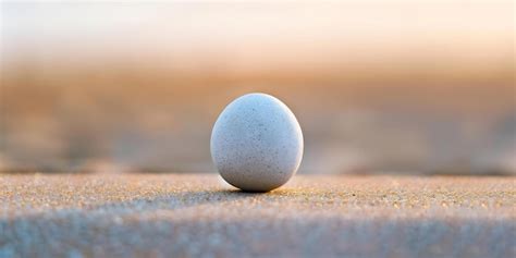 A Guide To Success Finding Inspiration Commitment Resilience