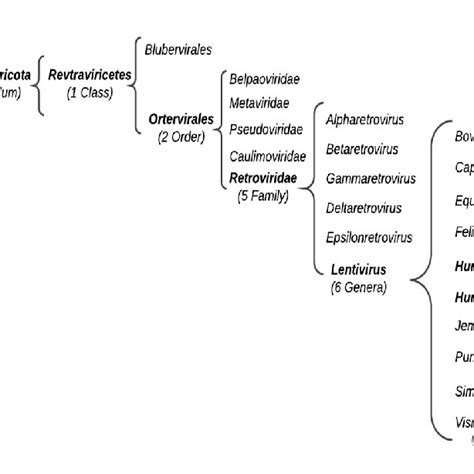 Schematic Representation Of Hiv Current Classification Download Scientific Diagram