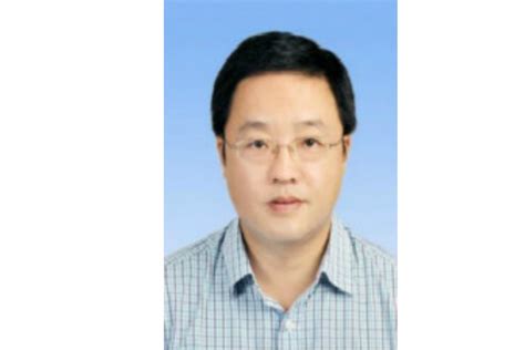 王志鹏 芜湖市人民政府秘书长 搜狗百科