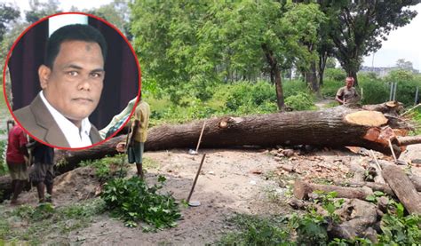 গাছ চুরির অভিযোগে কাউন্সিলর গ্রেপ্তার