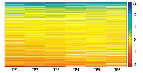 cross comparison of tiling probe performance a heat map was generated