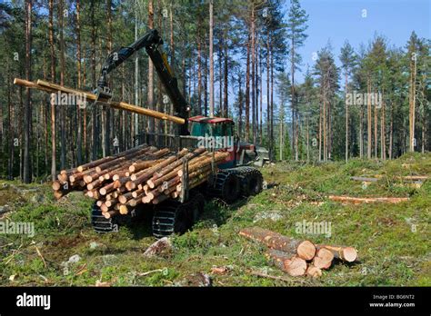 Logging