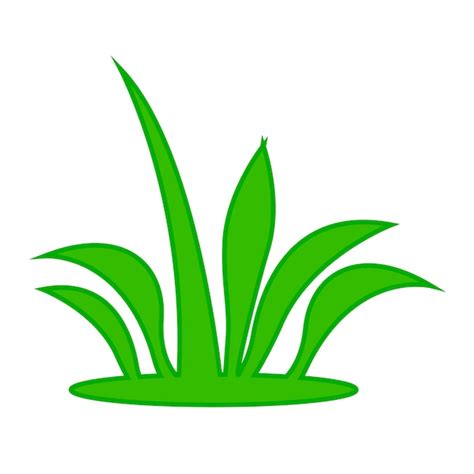 Premium Vector Grass