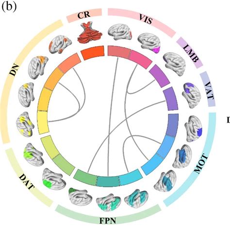 The Group‐level And Two Individual Level Of The 17 Large‐scale