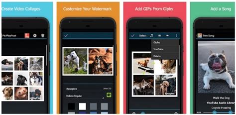 Start Vlog With 5 Best Video Editors [vlog Editor]
