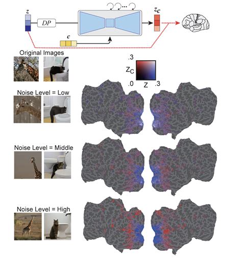 Researchers Use Ai To Generate Images Based On Peoples Brain Activity