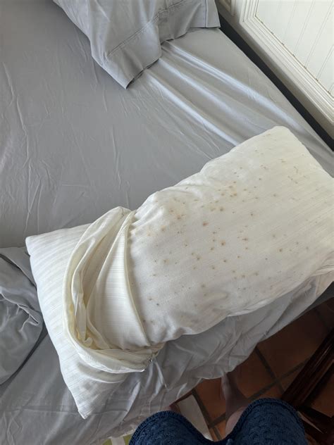 Bed Bugs Or Rust Stains Rbedbugs
