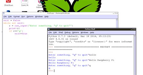 Hello Raspberry Pi Python Exercise Read Line Of Input Q To Quit