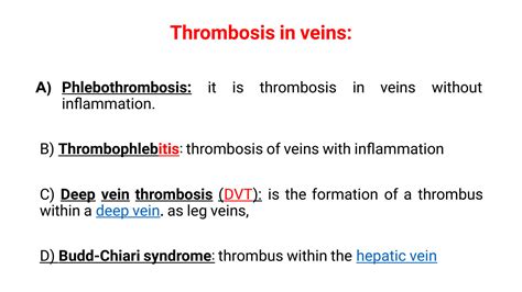 Solution Circulatory Disorders 2 Studypool