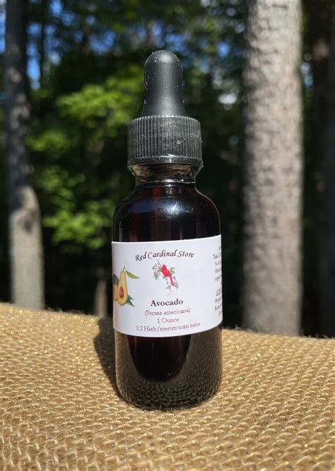 Avocado Seed Tincture Herb Extract Double Extraction Ebay